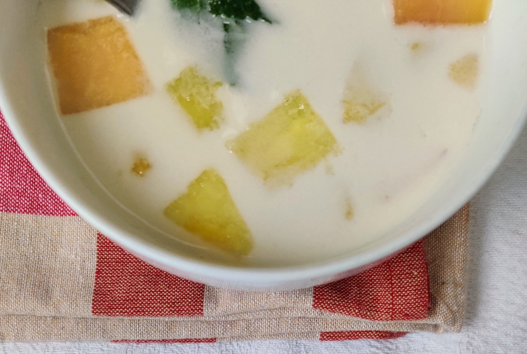 Mint and Tropical Fruit Soup – Googies Kitchen Life