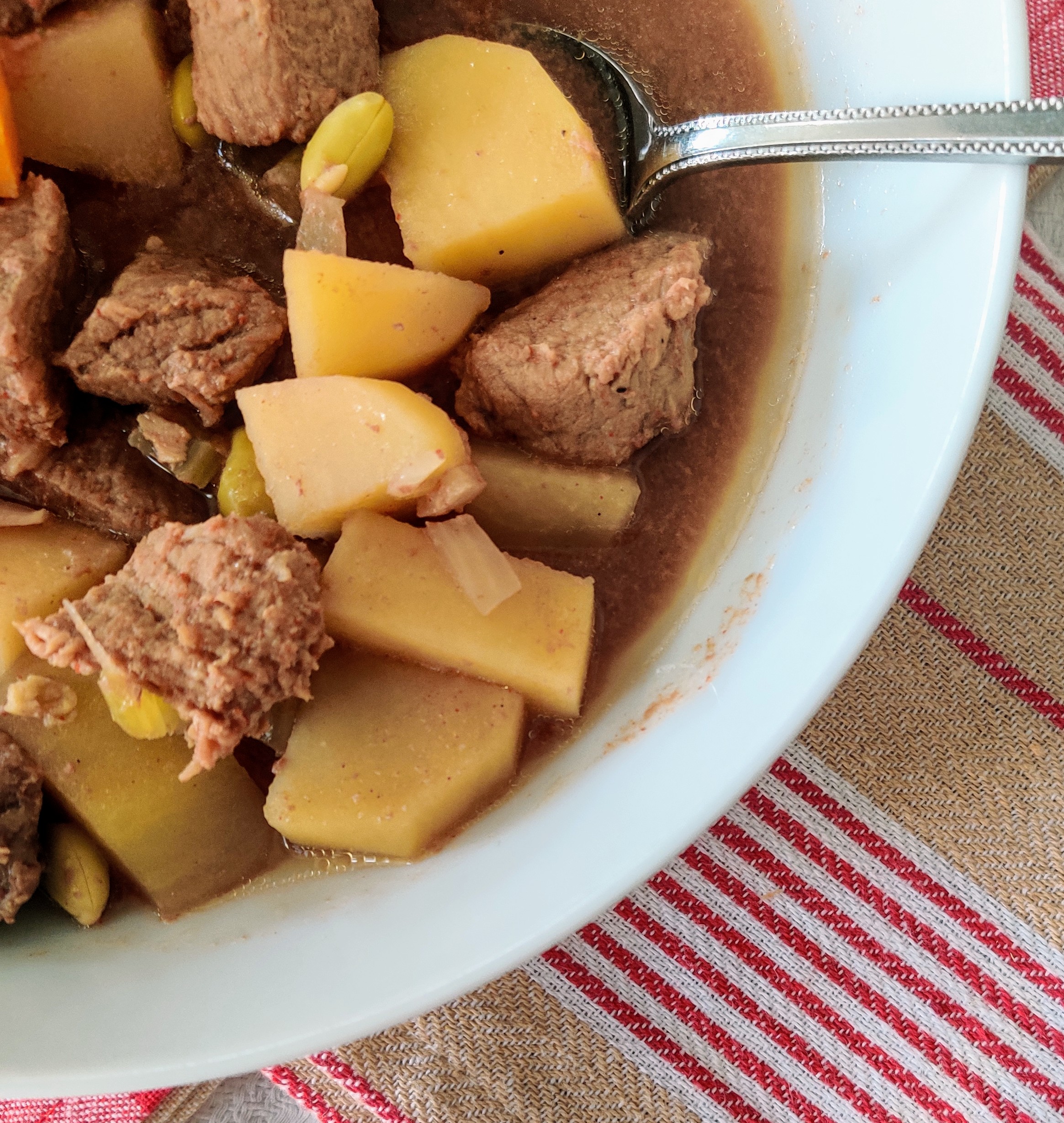 Southern Spice Beef Stew – Googies Kitchen Life