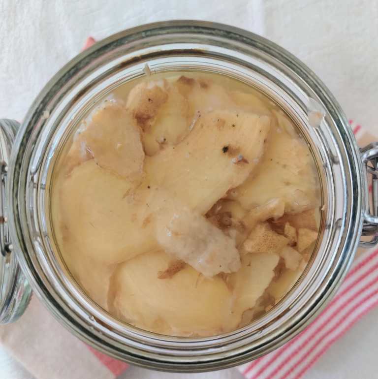 Fermented Ginger – Video Version – Googies Kitchen Life