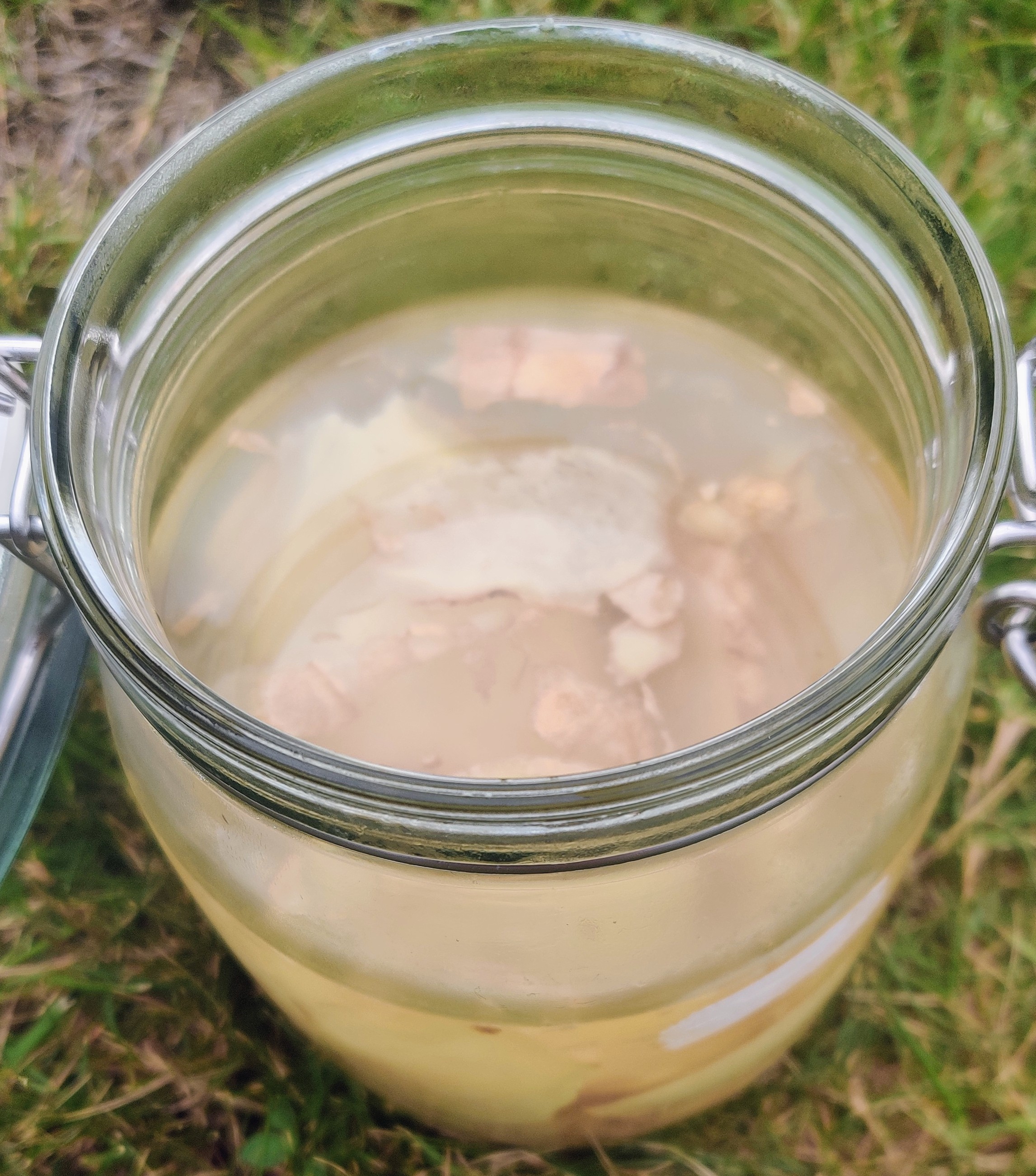 Fermented Ginger – Googies Kitchen Life