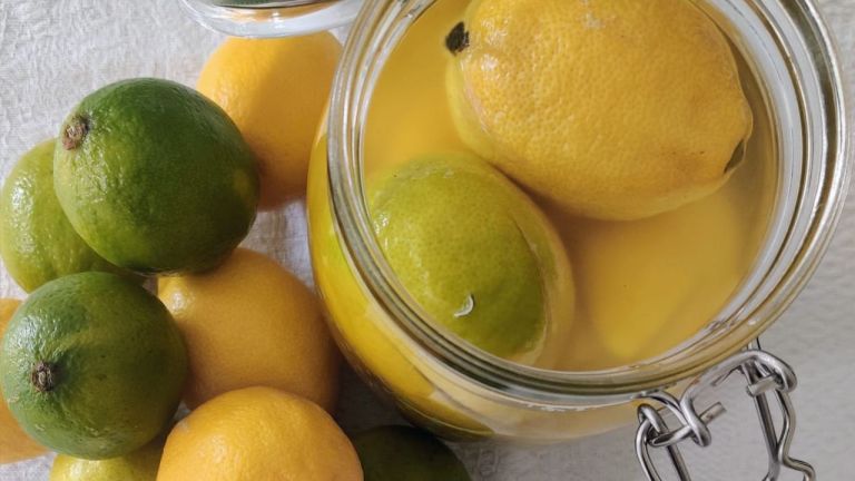 Fermented Lemons and Limes – Video Version – Googies Kitchen Life