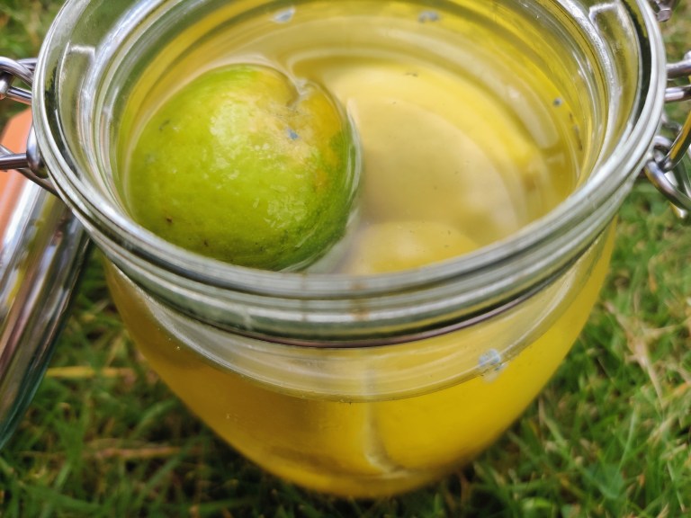 Fermented Lemons and Limes – Googies Kitchen Life